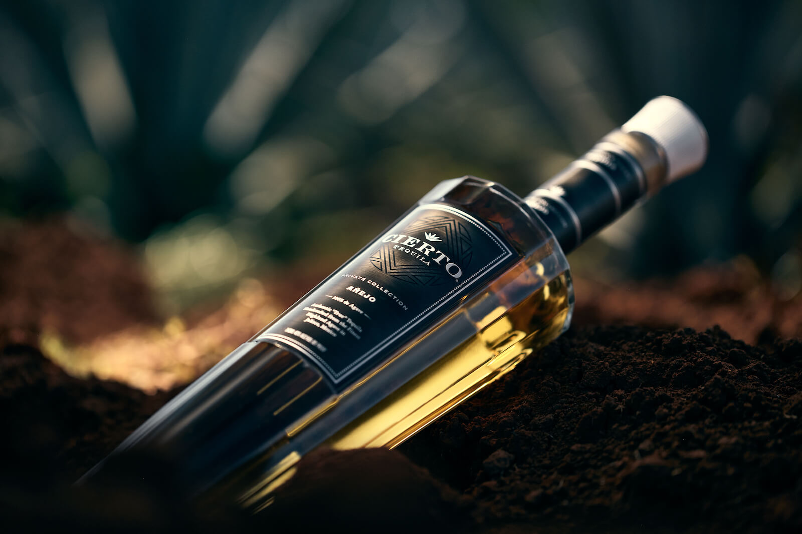 Sip and Savor: The Best Ways to Drink Authentic Tequila